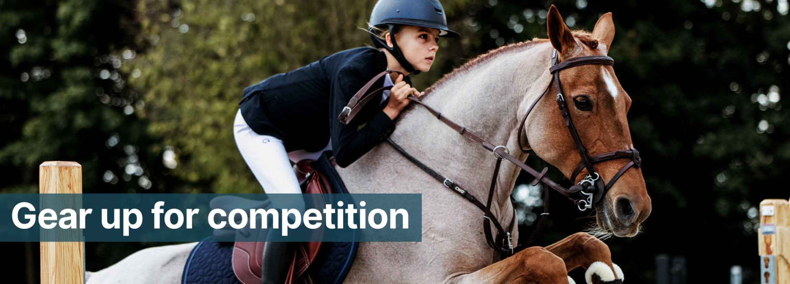 Shop for You & Your Horse | Equestrian Store → Equinest